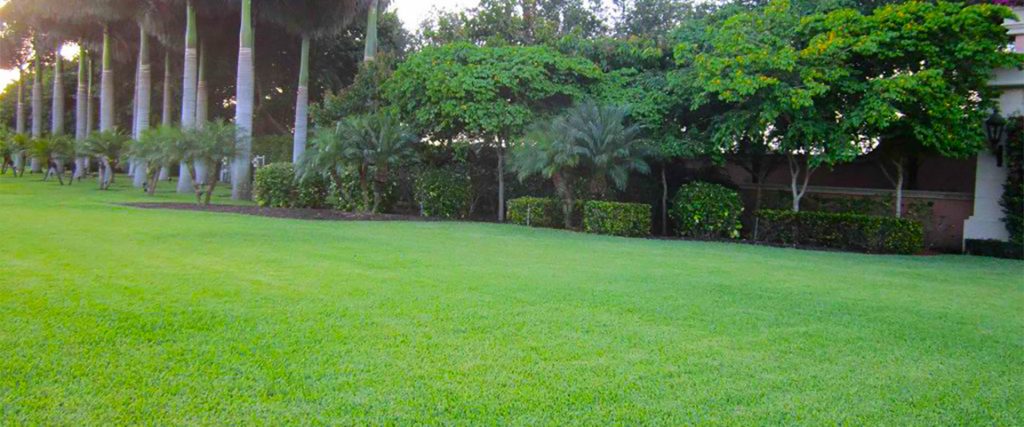 Expert Landscape Maintenance Services - Cutting Edge Industries